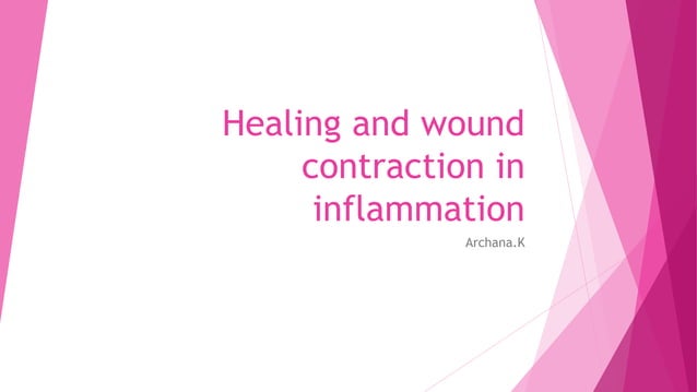 Healing and wound contraction in inflammation | PPTX | Injuries ...