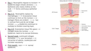 Healing and wound contraction in inflammation | PPTX