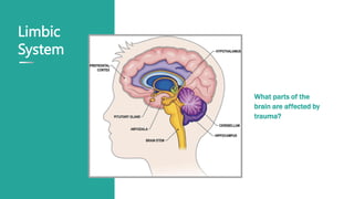 Healing from Trauma: How to overcome the negative impact of Trauma ...