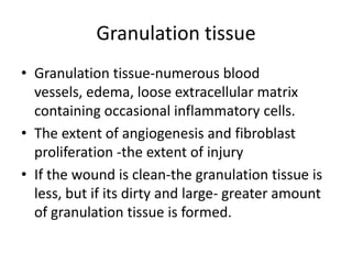 Healing of an open wound | PPTX