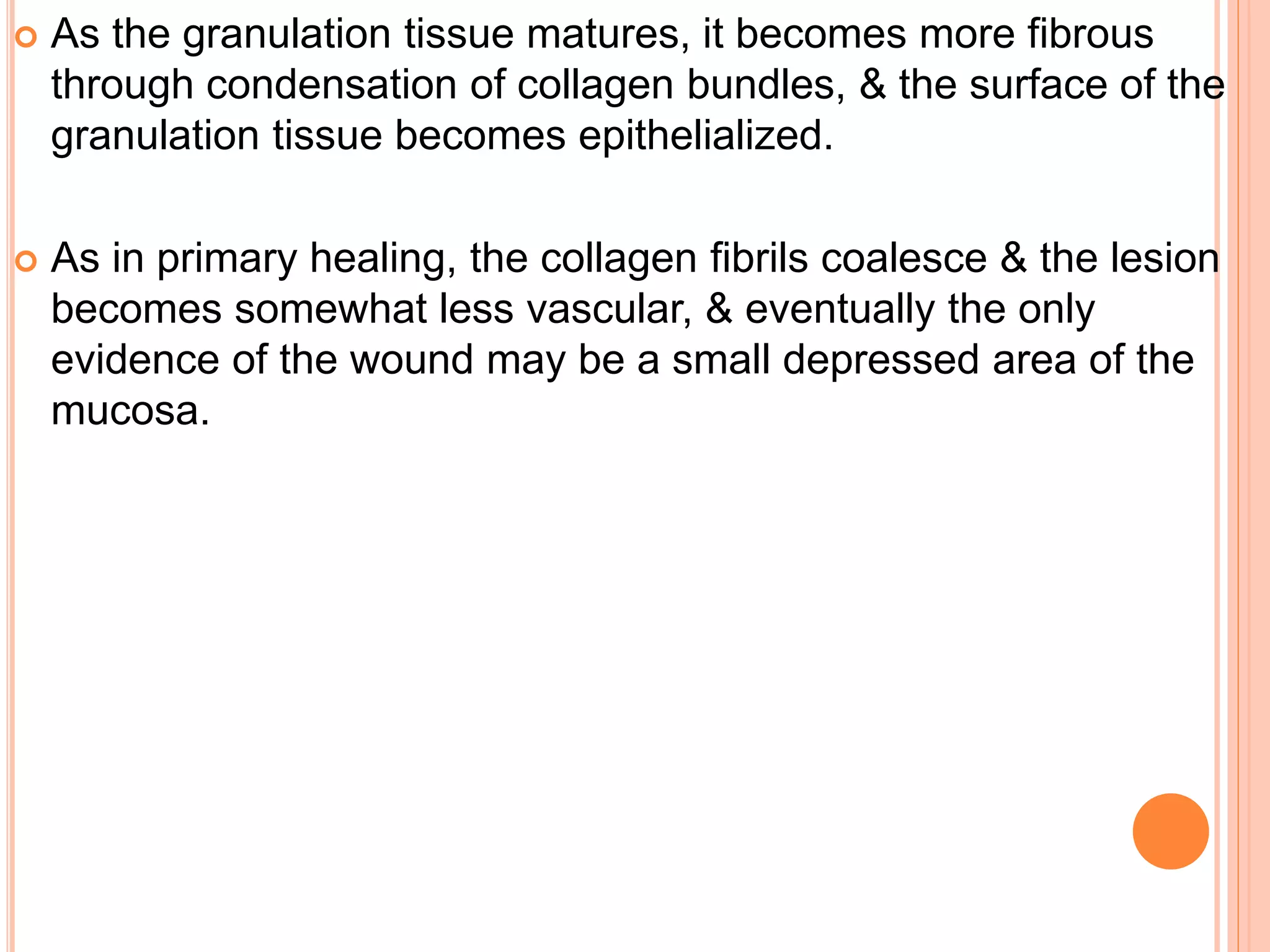 Healing of biopsy wound. | PPTX