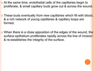 Healing of biopsy wound. | PPTX