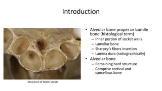 Healing of Fracture and Tooth Extraction Socket.pdf