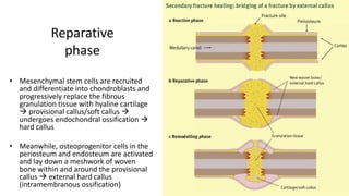 Healing of Fracture and Tooth Extraction Socket.pdf