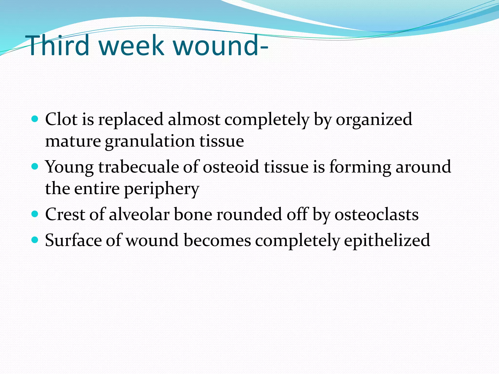Healing of oral wounds | PPTX | First Aid | Injuries