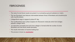 Healing of tissues | PPT