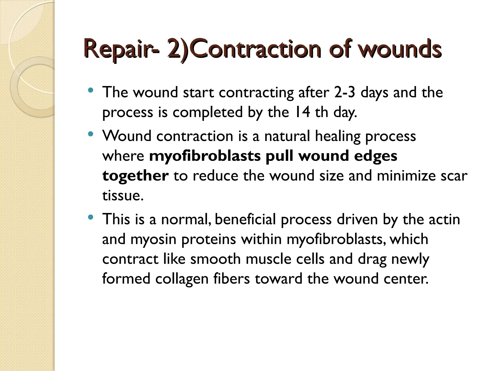 Healing(repair and regeneration) Pathology lecture.ppt
