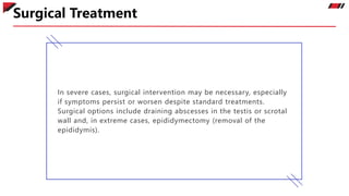 Healing Recurrent Epididymitis- Solutions for Alcohol-Triggered ...