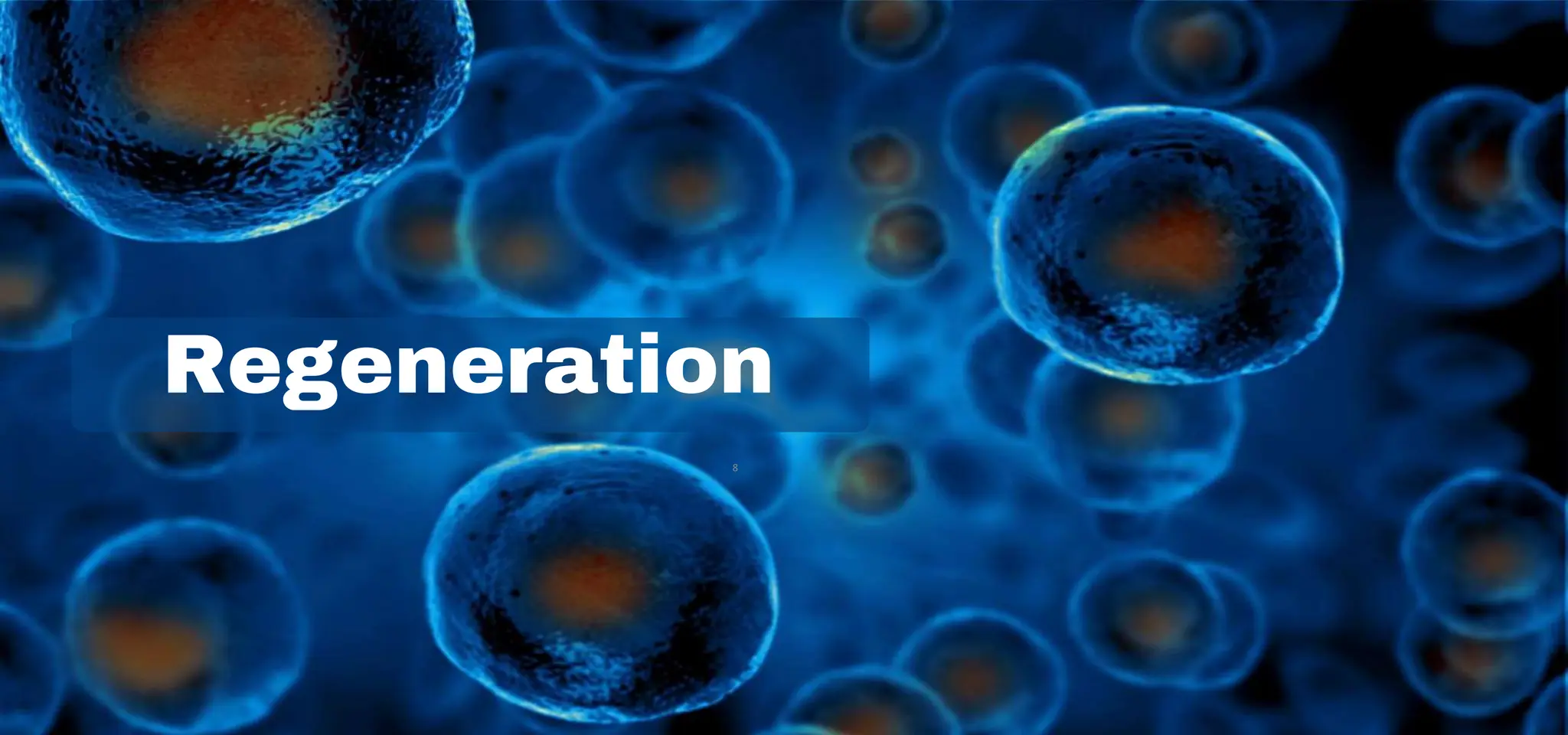 healing regeneration and repair mechanism.pptx