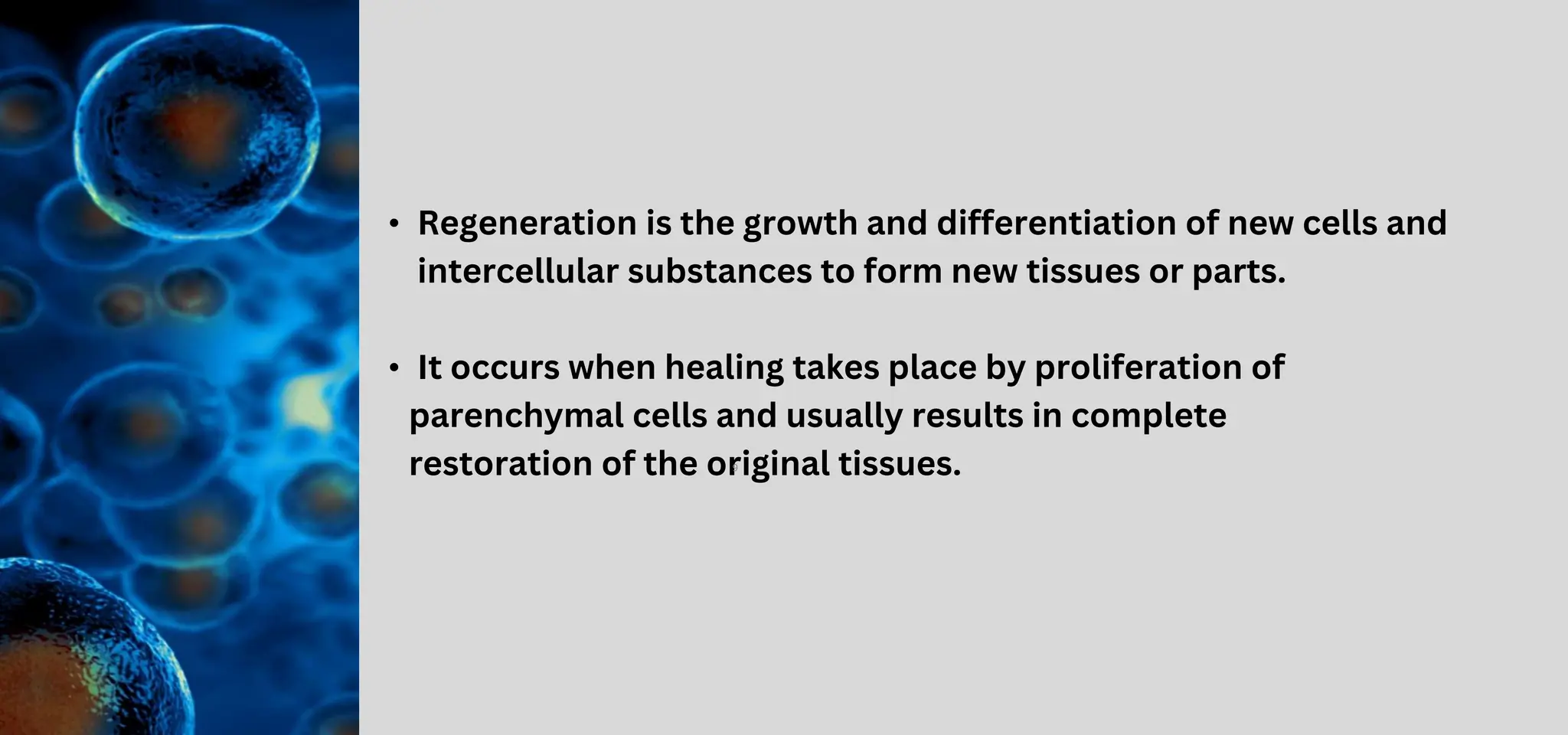 healing regeneration and repair mechanism.pptx