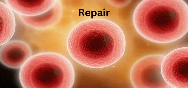 healing regeneration and repair mechanism.pptx