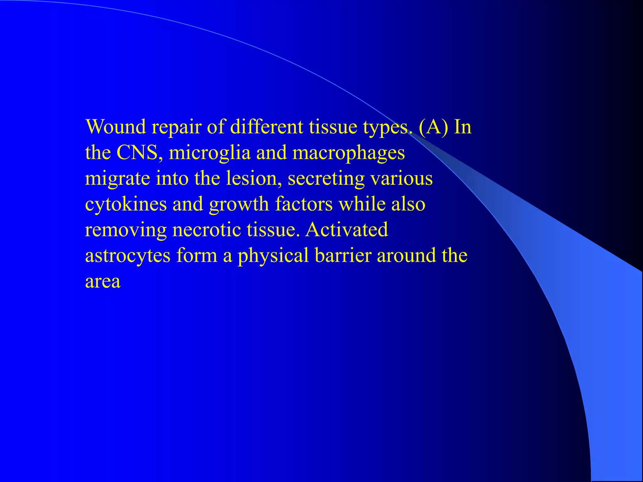 Pathology of Healing & repair | PPTX