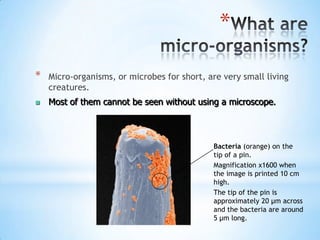 Health | PPTX | Infectious Diseases | Diseases and Conditions