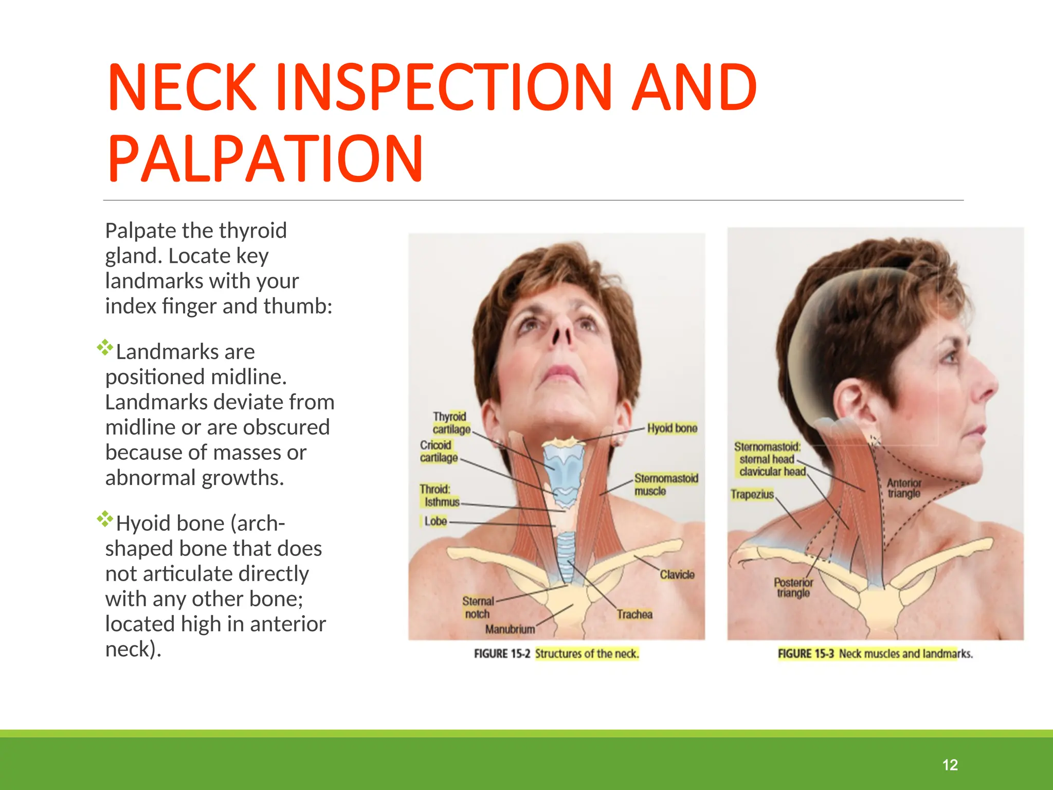 Health-Assessment-Lab Hea88d and neck.ppt
