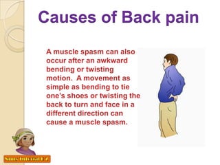 Health back pain | PPTX
