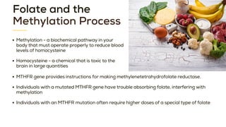 Health Benefits of Eggs and Egg Whites | Nutrition | Lauren's Veggie ...