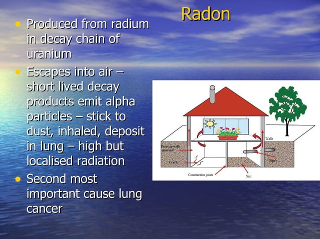 Health Effects Of Radiation Exposure | PPT | Cancer | Diseases and ...