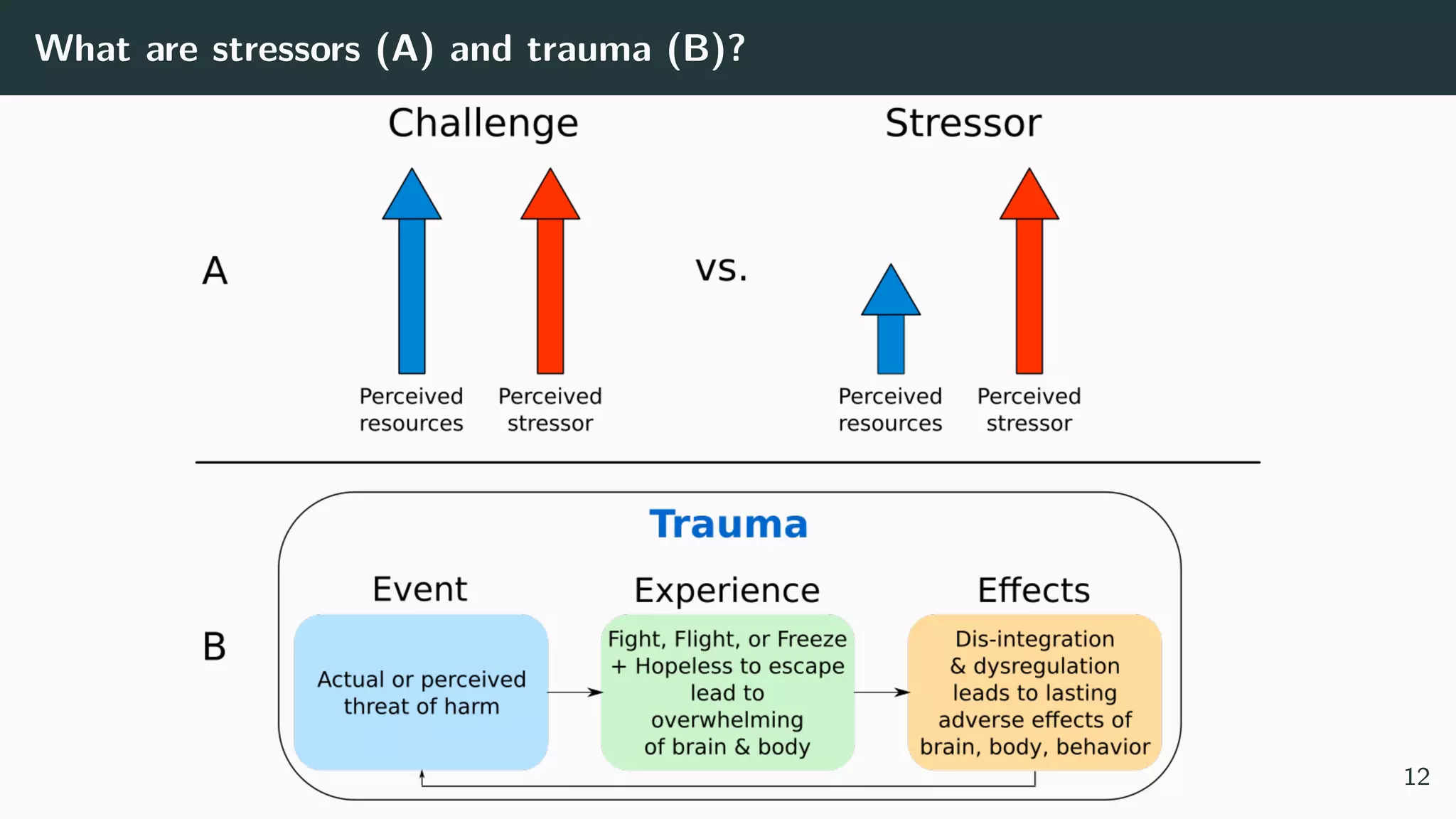 Structural Trauma & Toxic Stress: Lifecourse Roots of Health Inequities ...