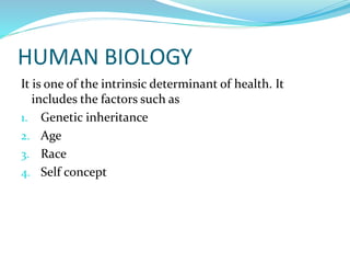 Health its dimensions | PPTX