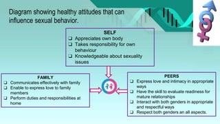 Gender and human sexuality health education | PPTX