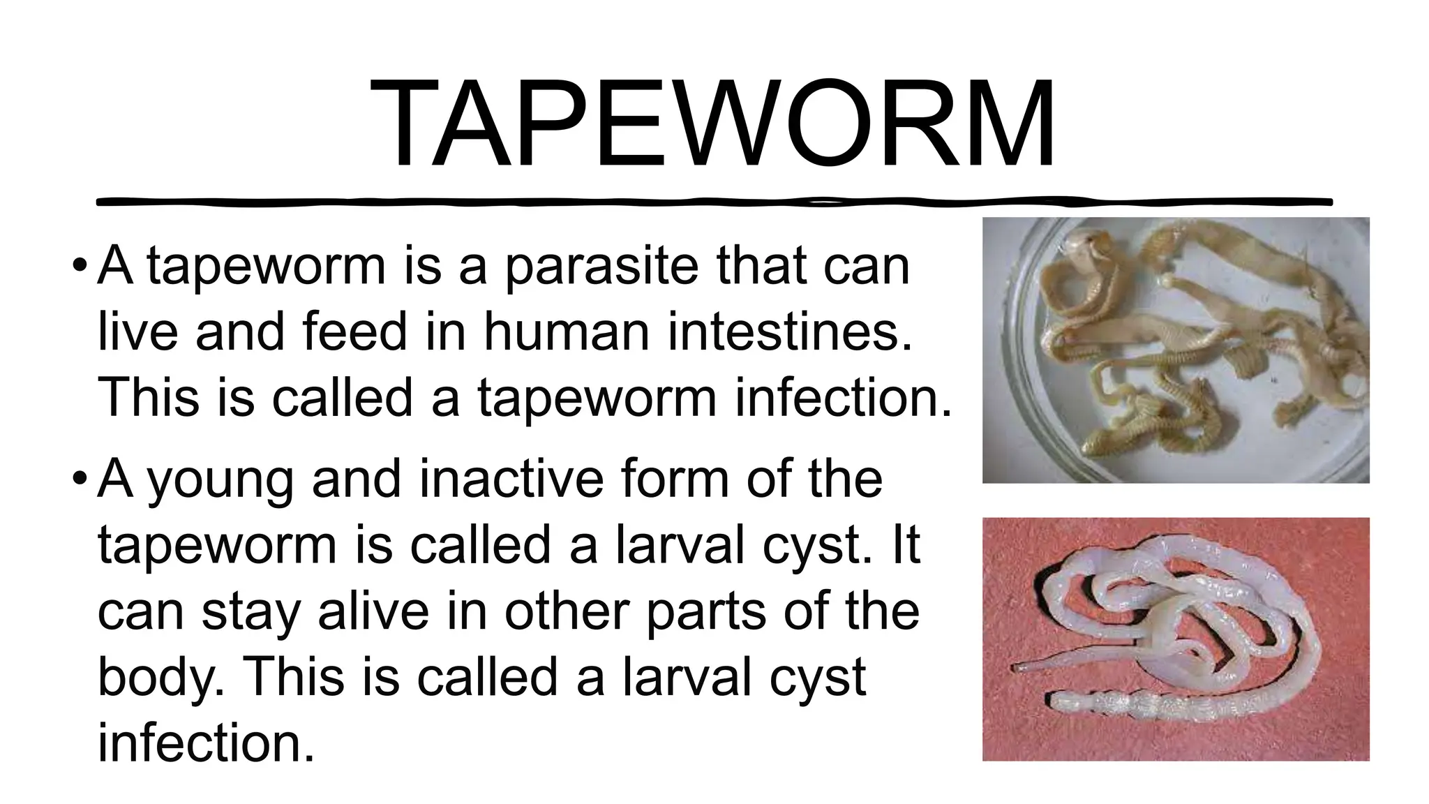 powerpoint for mapeh 8 (health 8) quarter 3.pptx