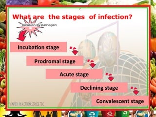 MAPEH GRADE * -1 Stages of Infection.pptx