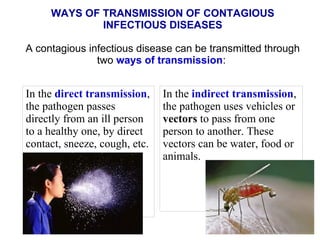 Health and disease 3 ESO | PPT