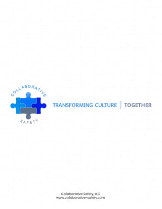 Promoting Systemic Safety Culture | PDF