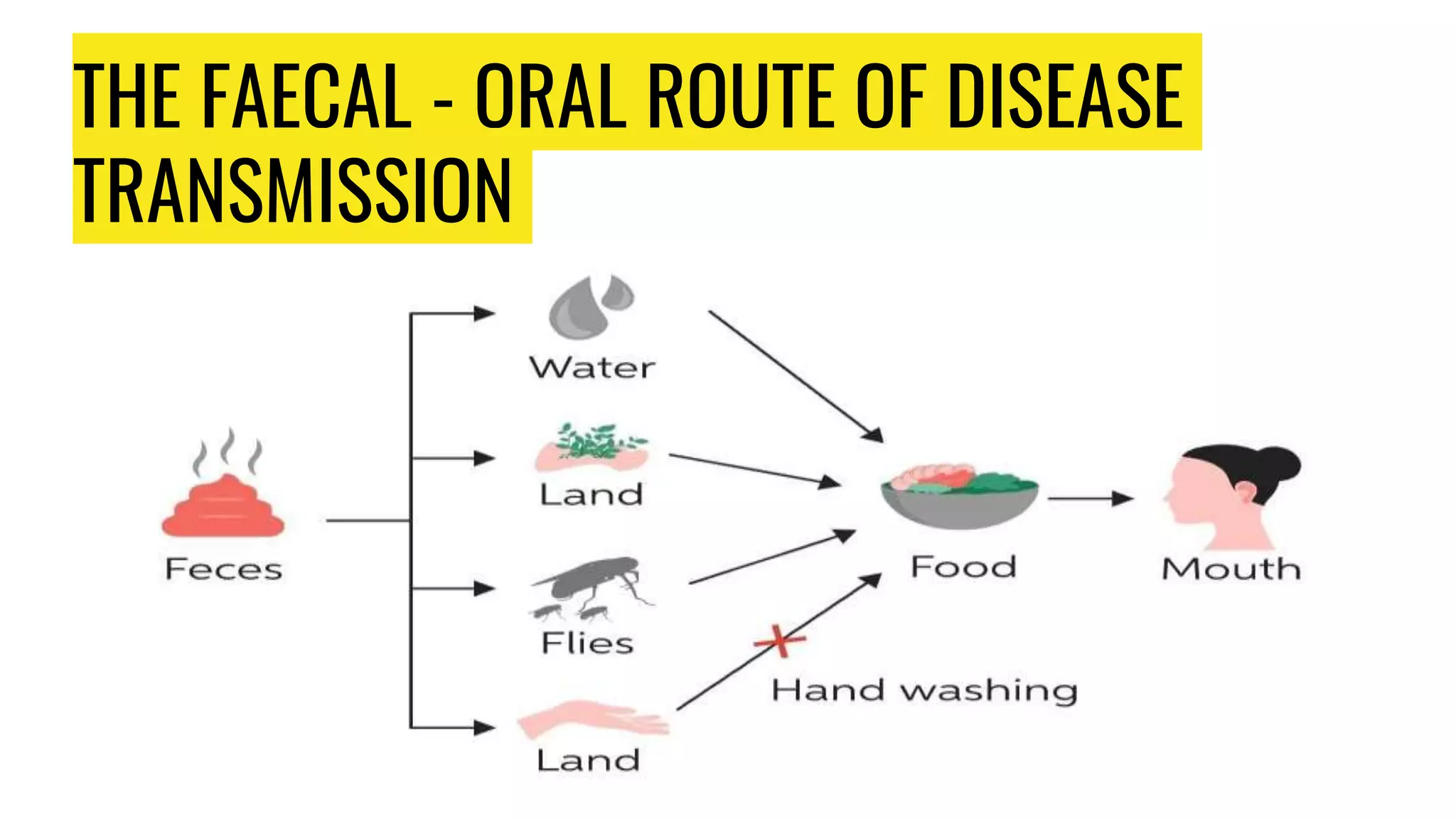 HEALTH AND HYGIENE.pptx