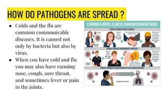 HEALTH AND HYGIENE.pptx | Cold and Flu | Diseases and Conditions