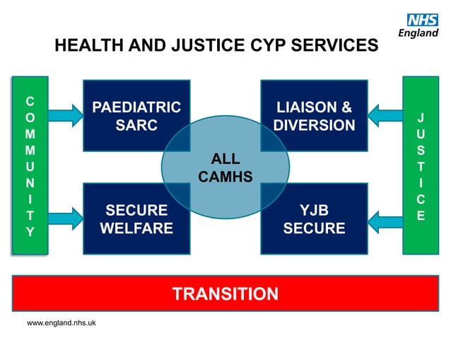 CAMHS Transformation in Health and Justice - workshop | PDF