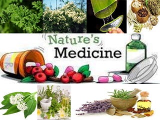 Health and medicine class 10 mcb unit 1 | PPTX