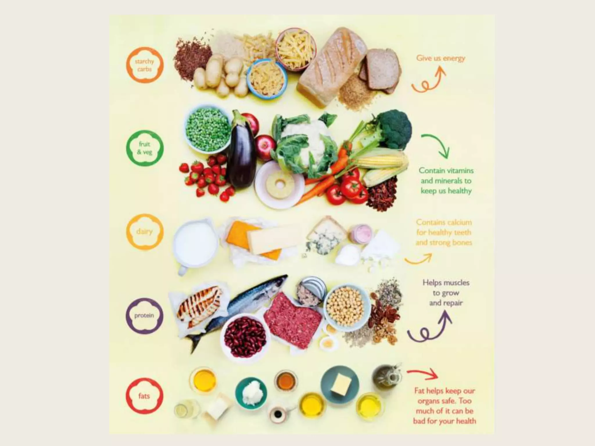 NUTRITION & HEALTH | PPTX