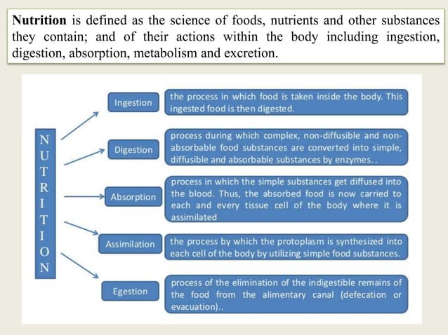 NUTRITION & HEALTH | PPTX | Chemistry | Science