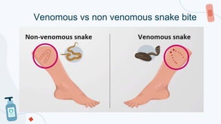 health and safety. education. university. | PPT