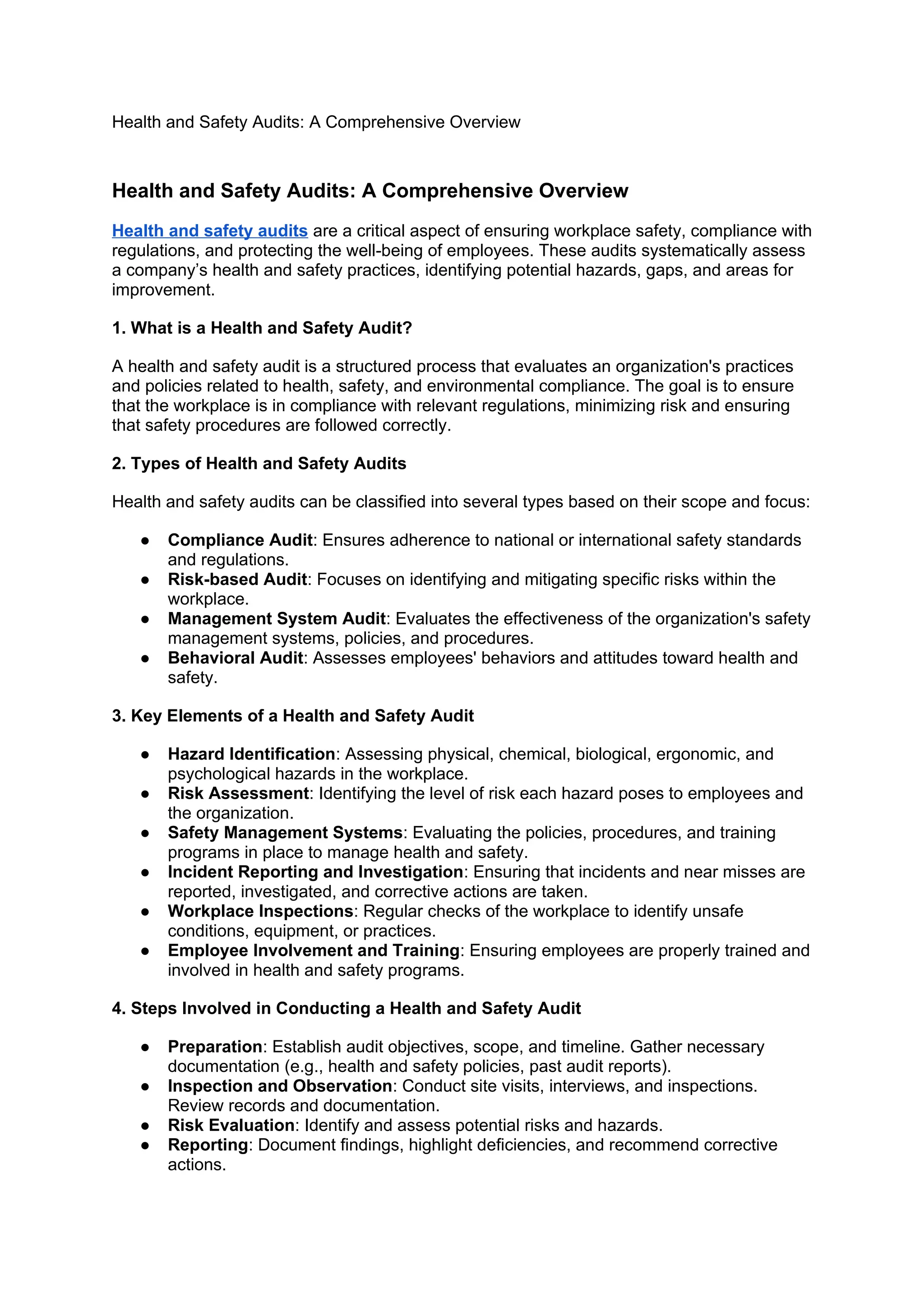 Health and Safety Audits_ A Comprehensive Overview.docx