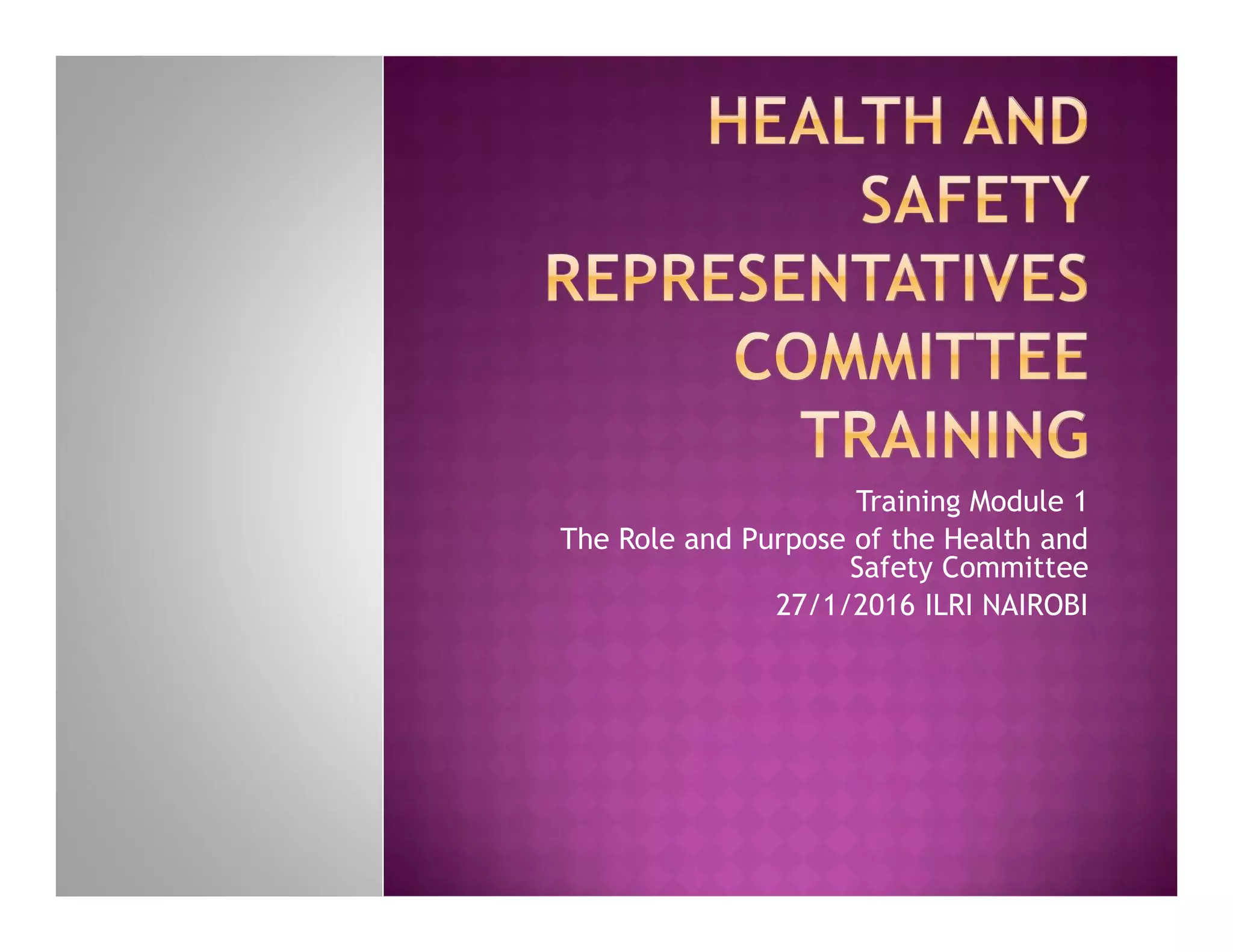Health and safety committe roles and operations | PDF