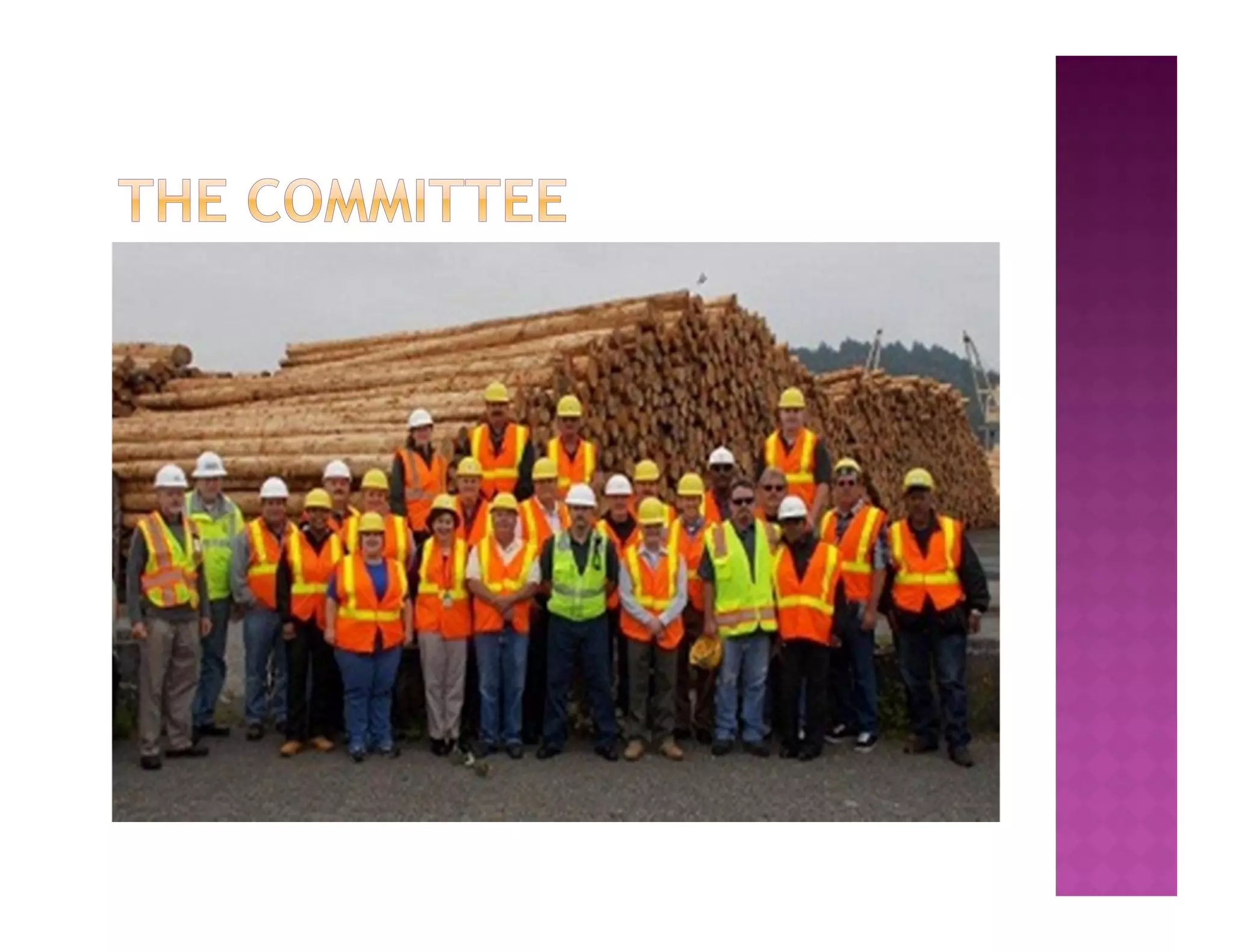 Health and safety committe roles and operations | PDF