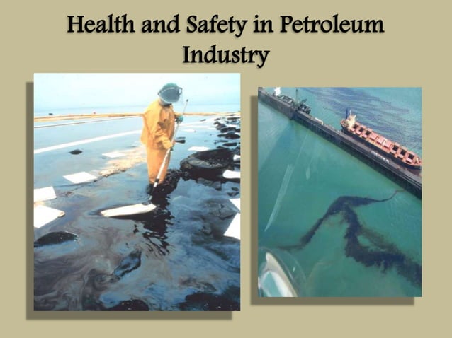 Health and Safety in Selected Industrial Sectors | PPTX