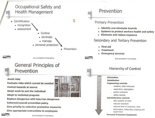 Introduction to Health and Safety | PDF