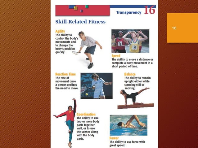 health and skills related fitness.ppt | Bodybuilding | Sports