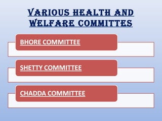 Health and welfare committees | PPT