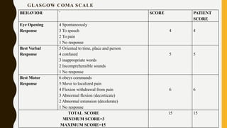 Health assessment | PPTX