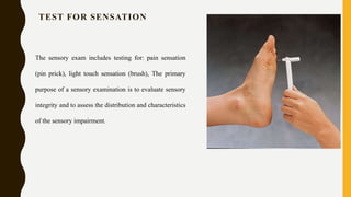 Health assessment | PPTX