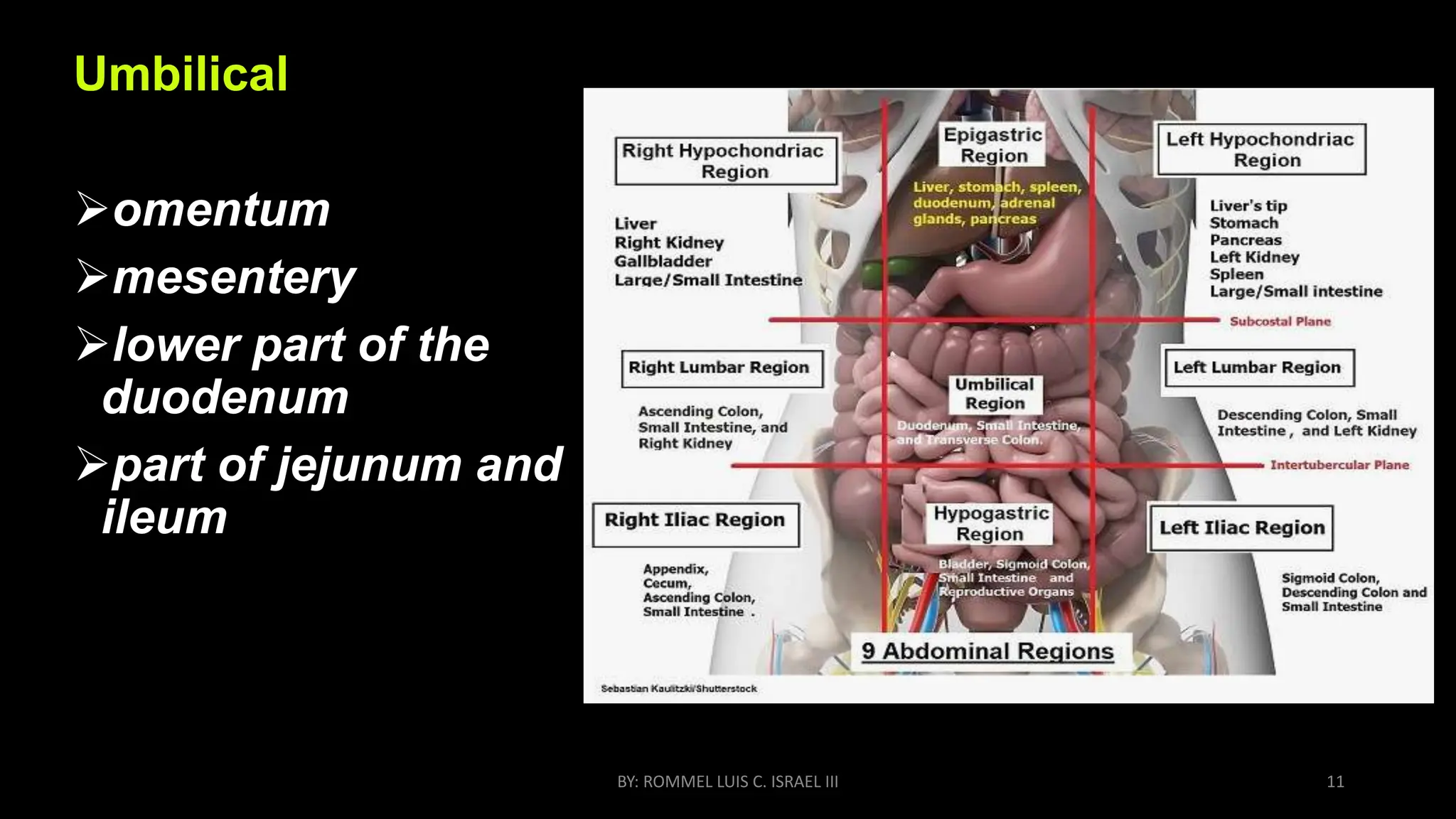 HEALTH ASSESSMENT IN NURSING - ABDOMEN (2) | PPTX