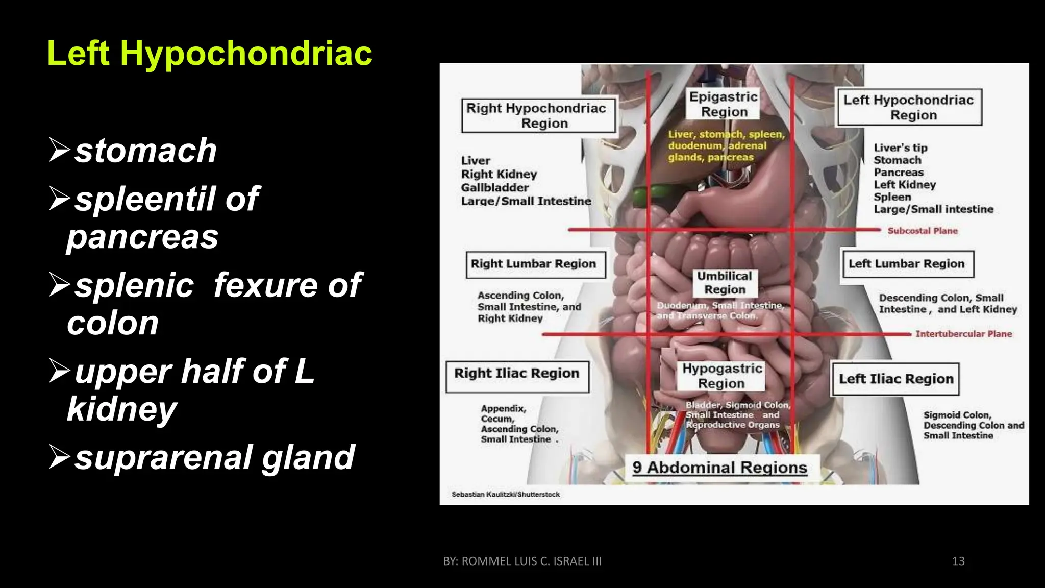 HEALTH ASSESSMENT IN NURSING - ABDOMEN (2) | PPTX
