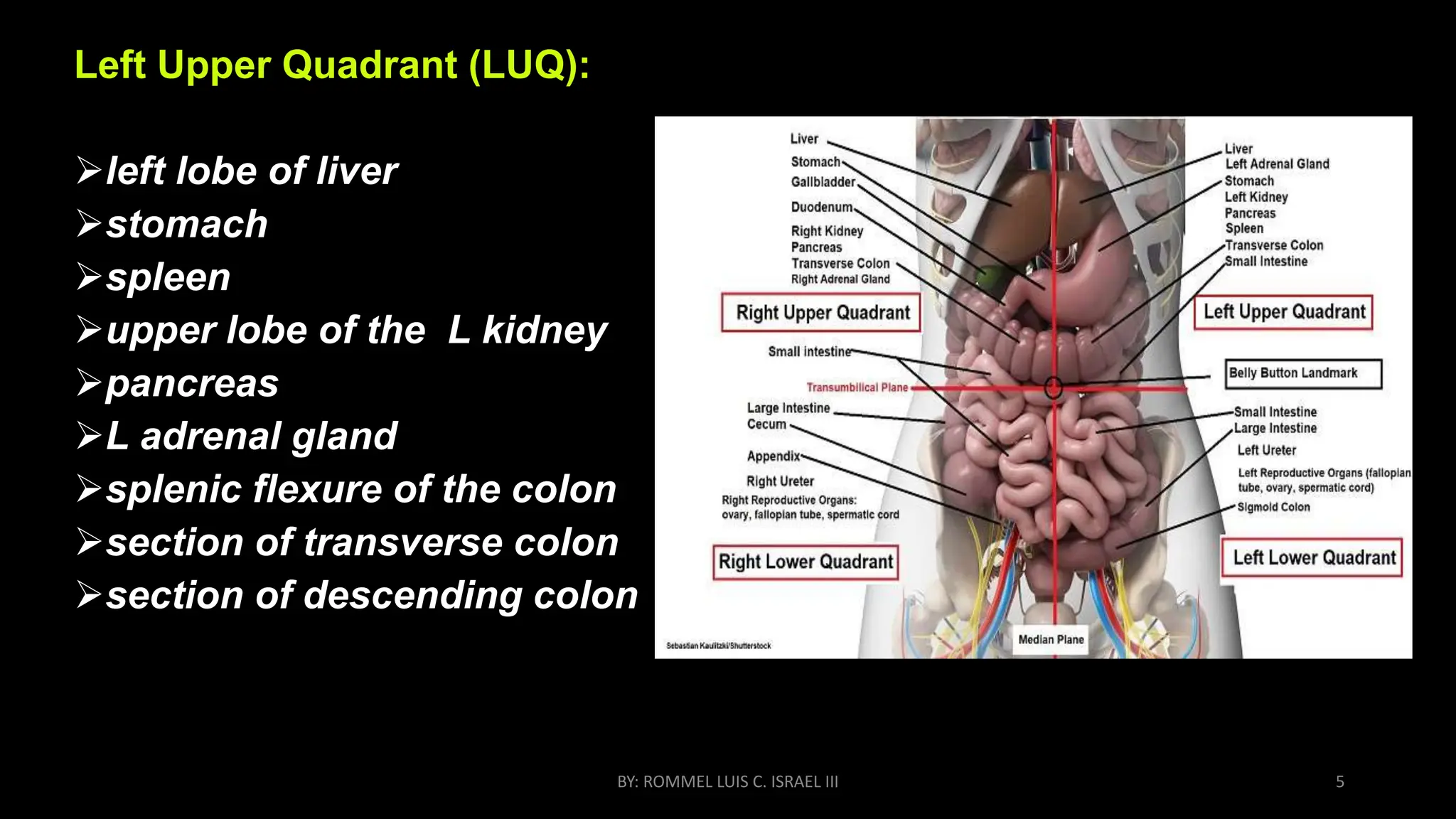 HEALTH ASSESSMENT IN NURSING - ABDOMEN (2) | PPTX | Digestive Disorders ...