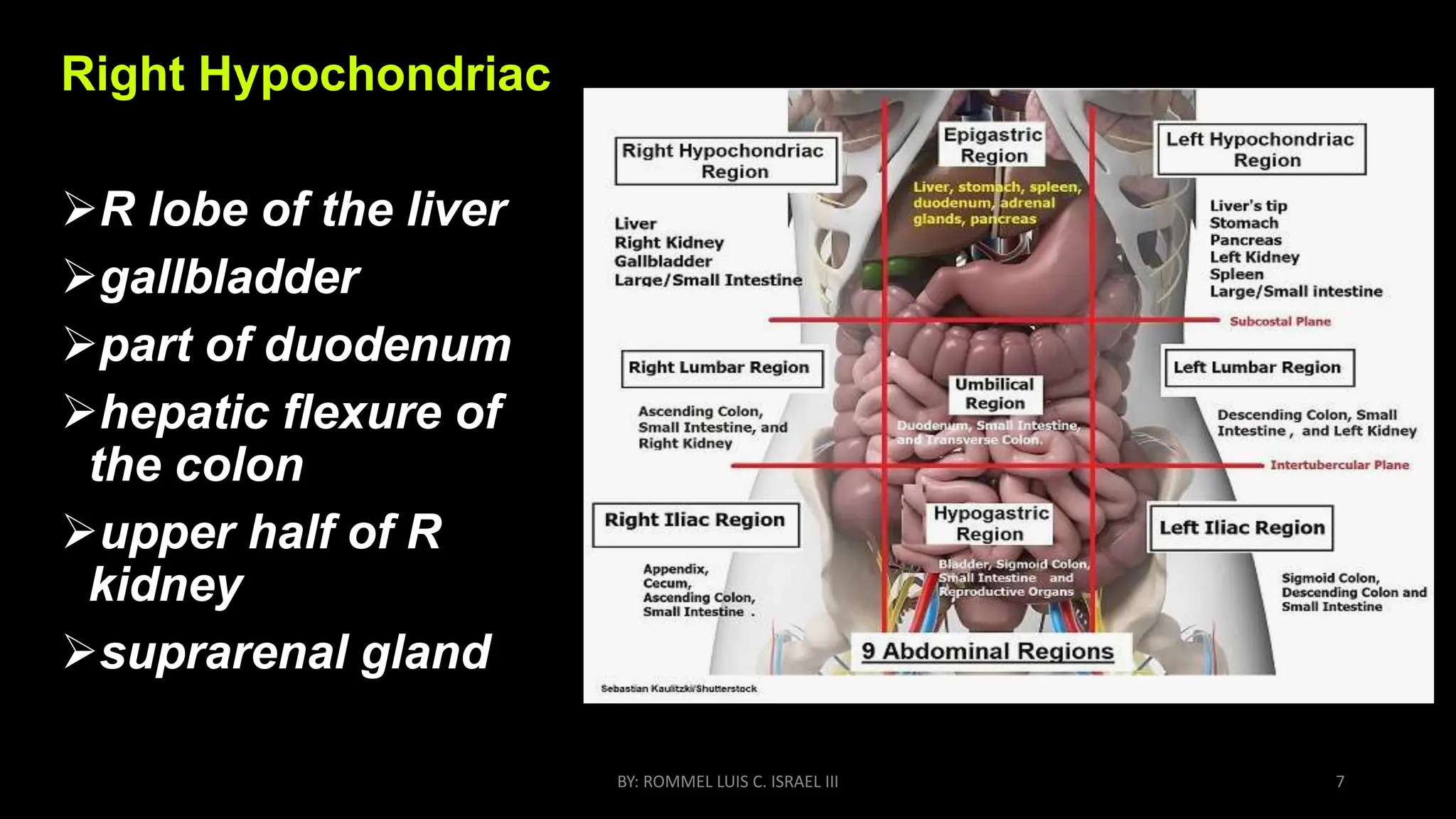 HEALTH ASSESSMENT IN NURSING - ABDOMEN (2) | PPTX