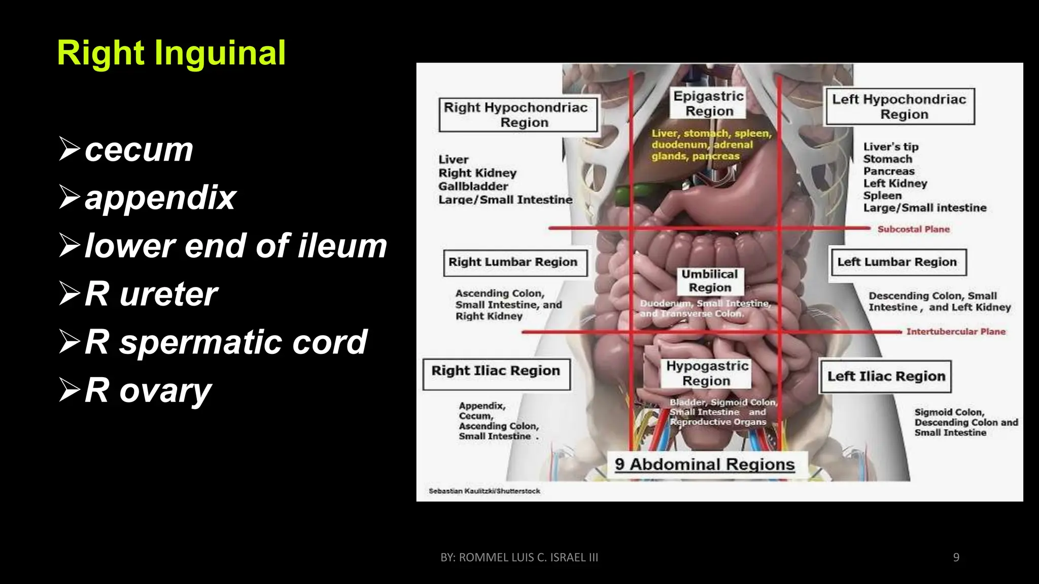 HEALTH ASSESSMENT IN NURSING - ABDOMEN (2) | PPTX
