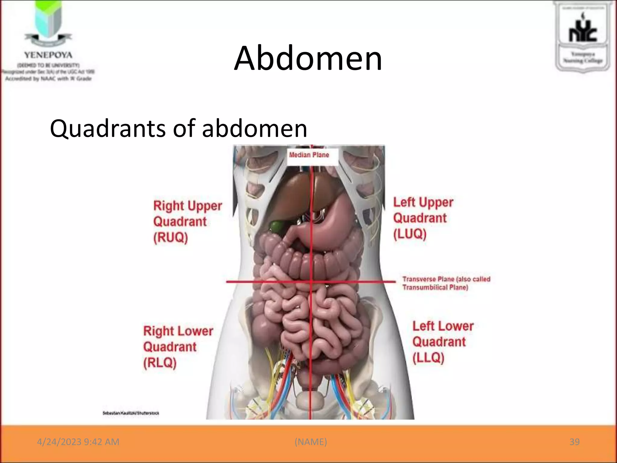 Health Assessment -Anterior chest , heart , abdomen examination.ppt